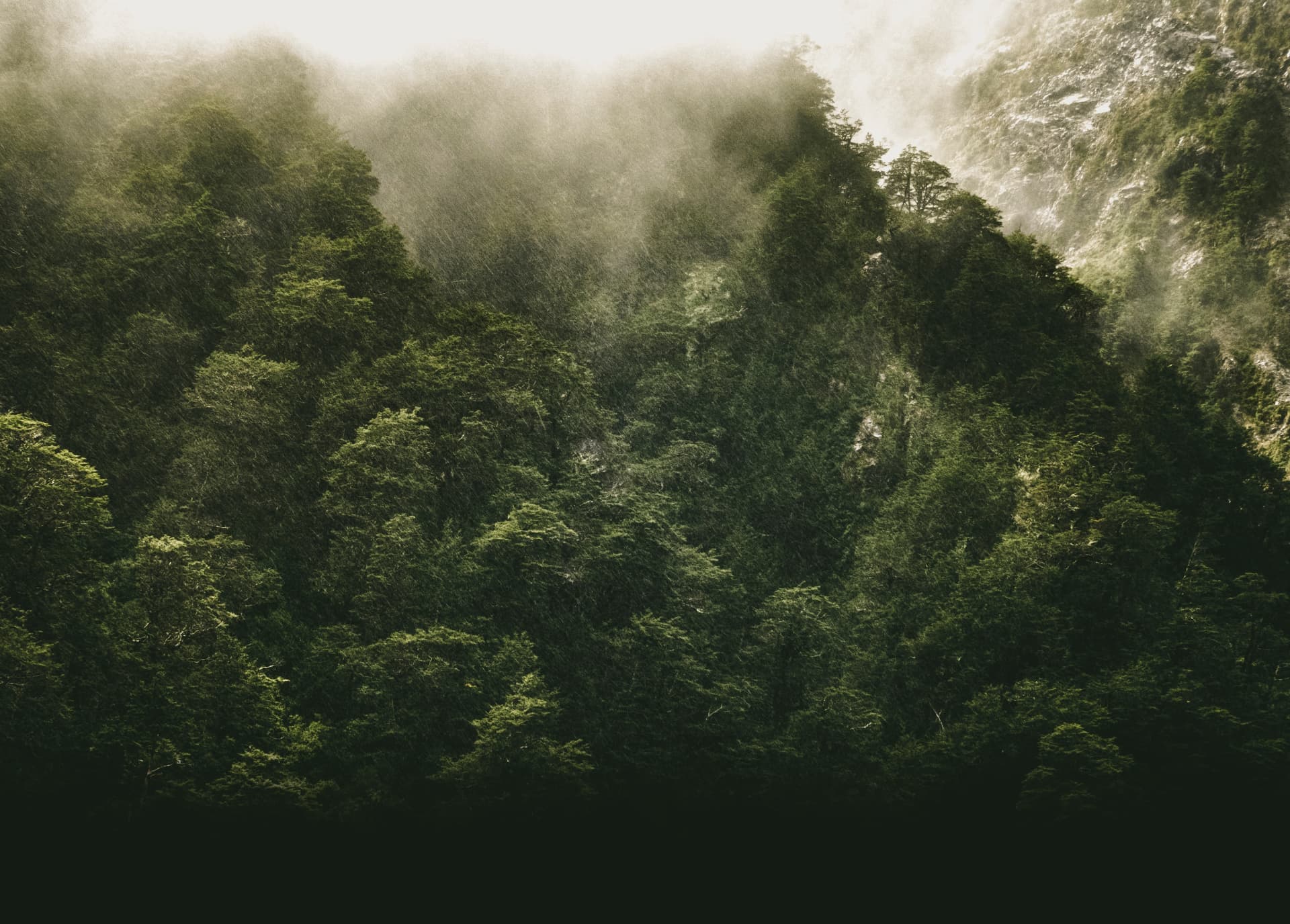 Alpine Junction | Accommodation Albert Town, Wanaka, New Zealand ...